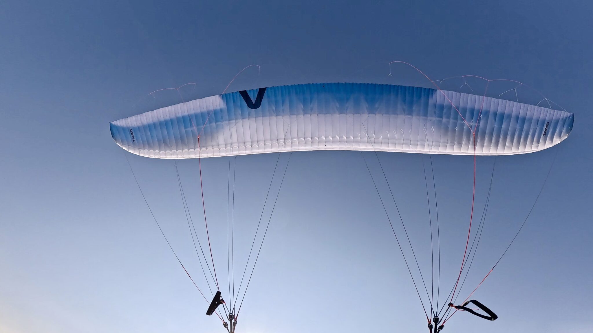 C Gilders Archives - Dust Of The Universe